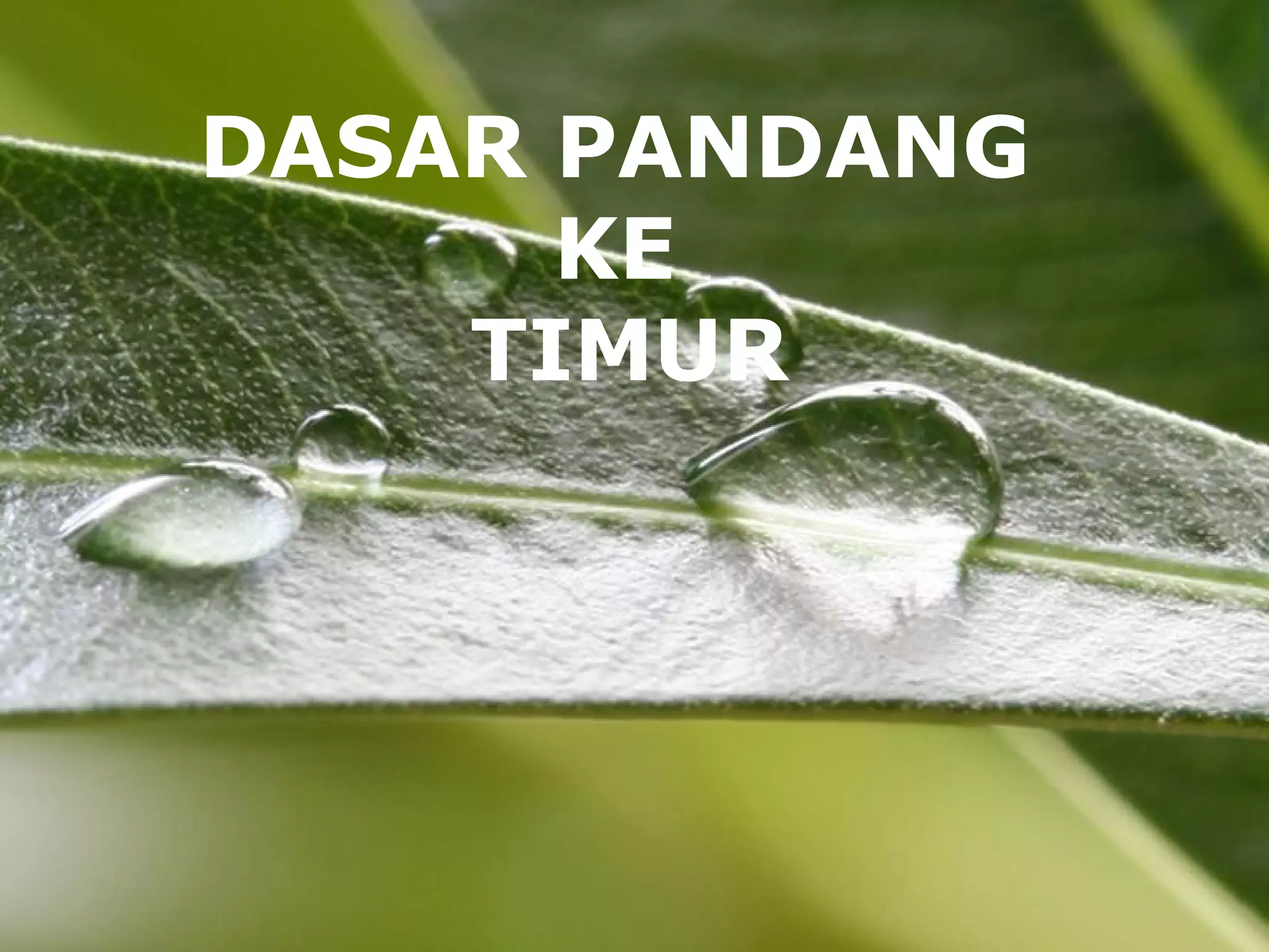 Dasar pandang ke timur | PPT