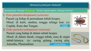 DASAR PARASITOLOGI REG 3.pptx