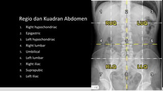 Prinsip dasar Dasar Pembacaan Abdomen manusia | PPT | Free Download