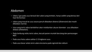 Prinsip dasar Dasar Pembacaan Abdomen manusia | PPTX
