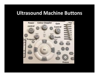 Dasar Ultrasonografi Abdomen.pdf