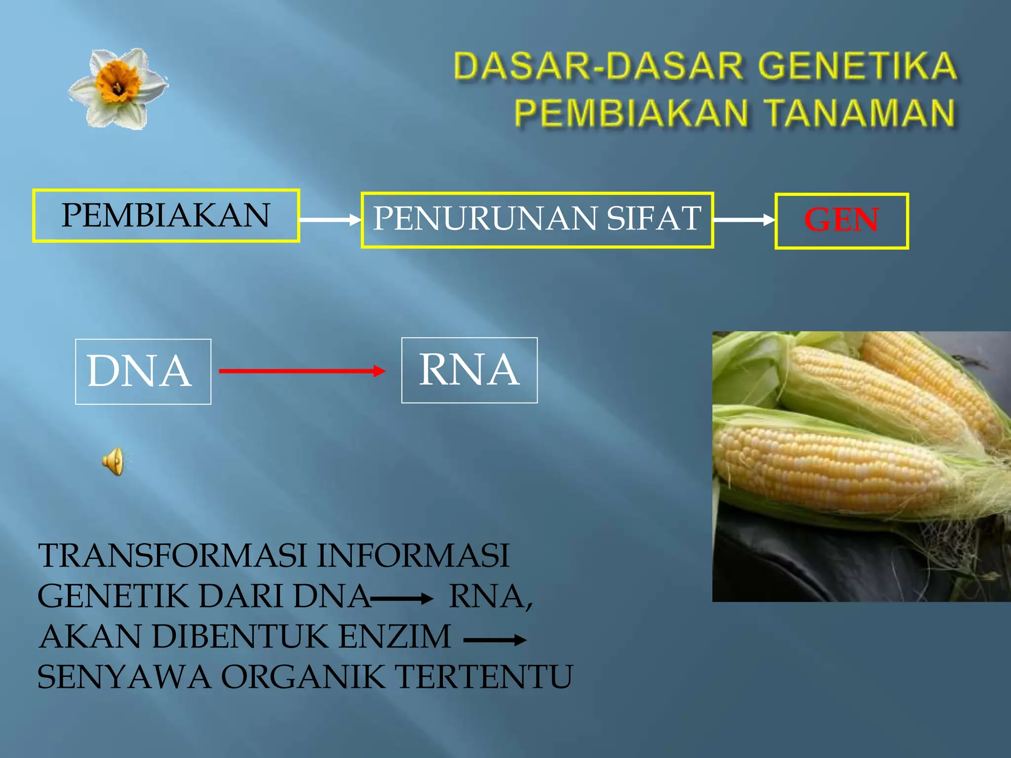 DASAR-DASAR AGRONOMI FAKULTAS PERTANIAN.pptx