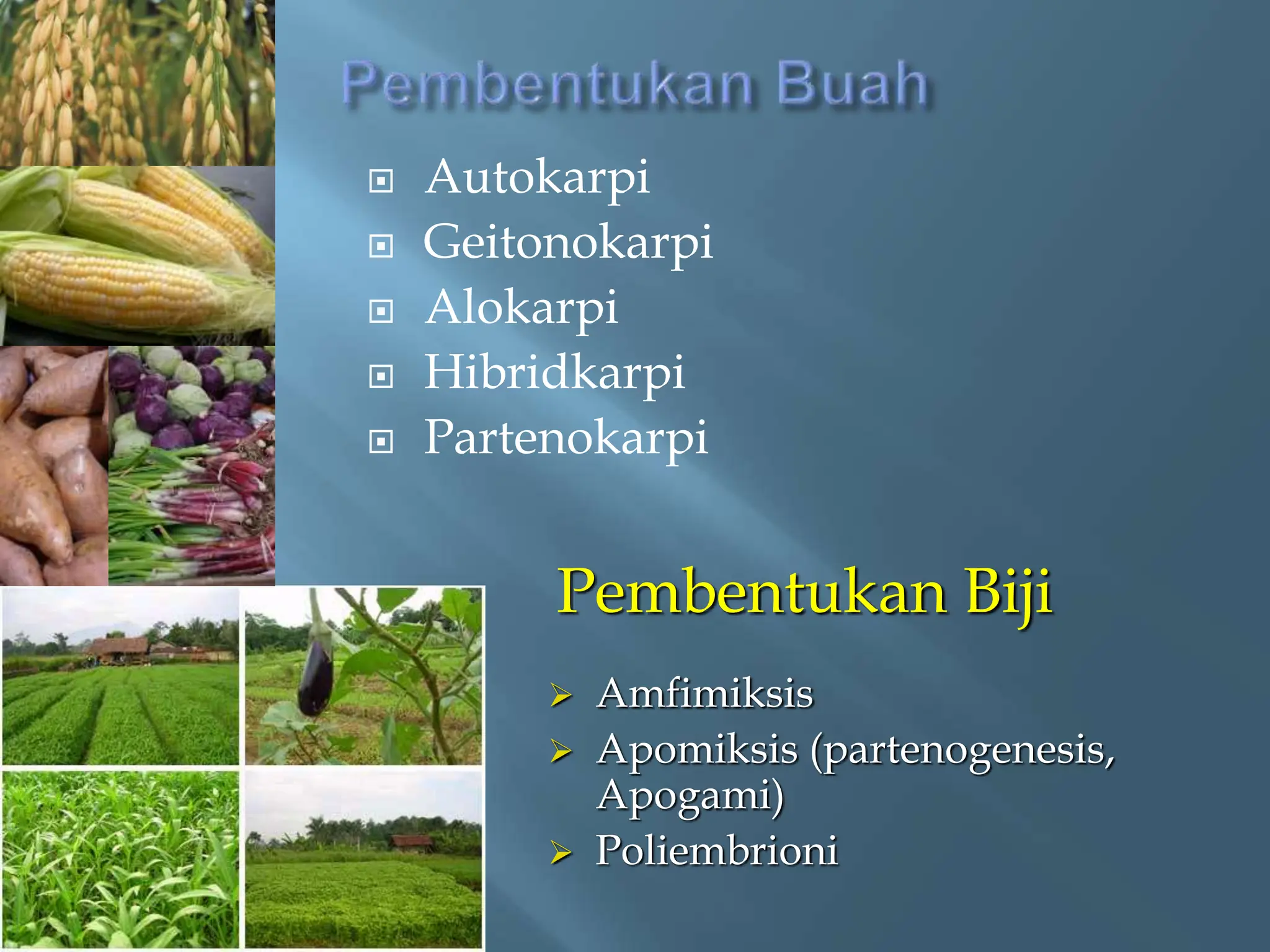 DASAR-DASAR AGRONOMI FAKULTAS PERTANIAN.pptx