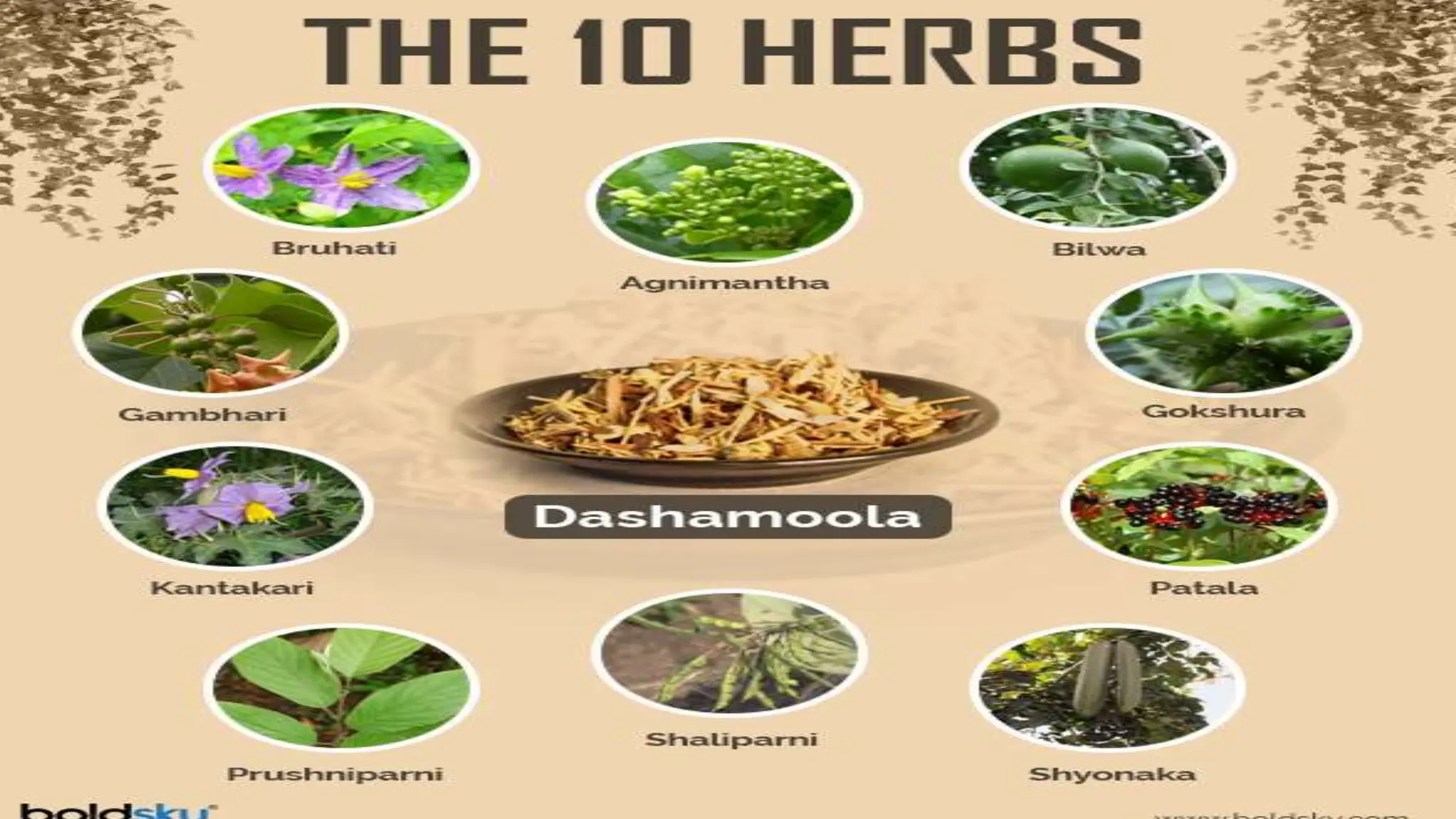 Dashamoola 2-1.pptx mishrak gana dravya Guna vigyan | PPTX