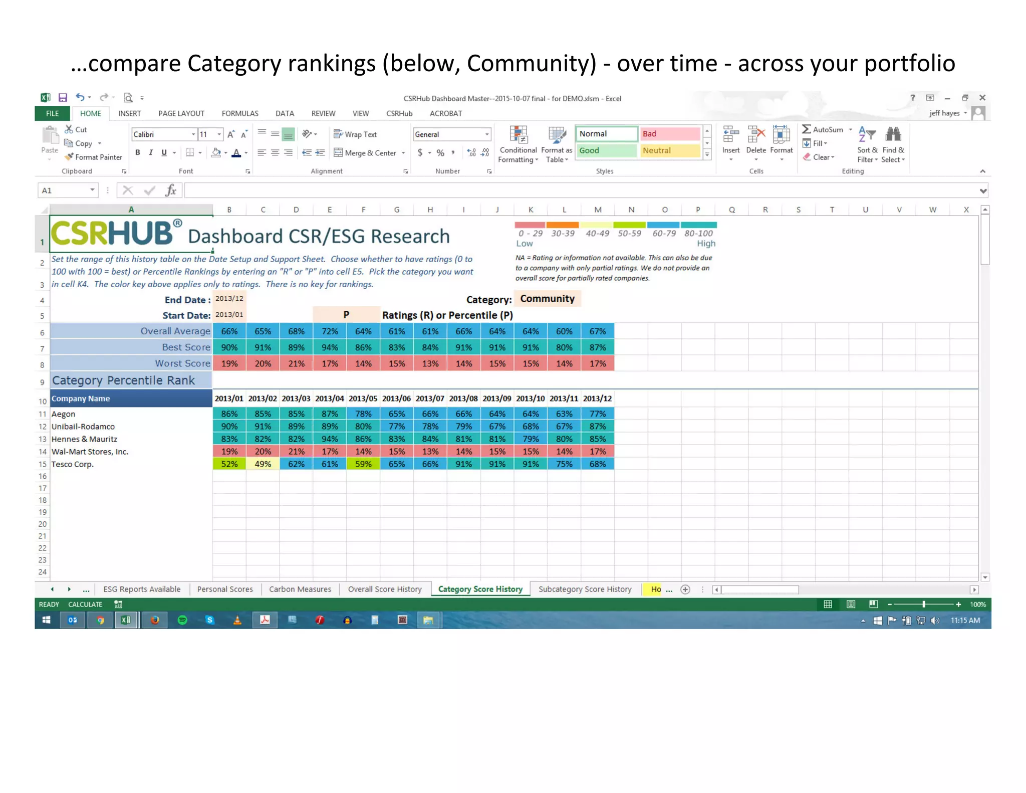 sample output from CSRHub's macro enabled spreadsheet | PDF