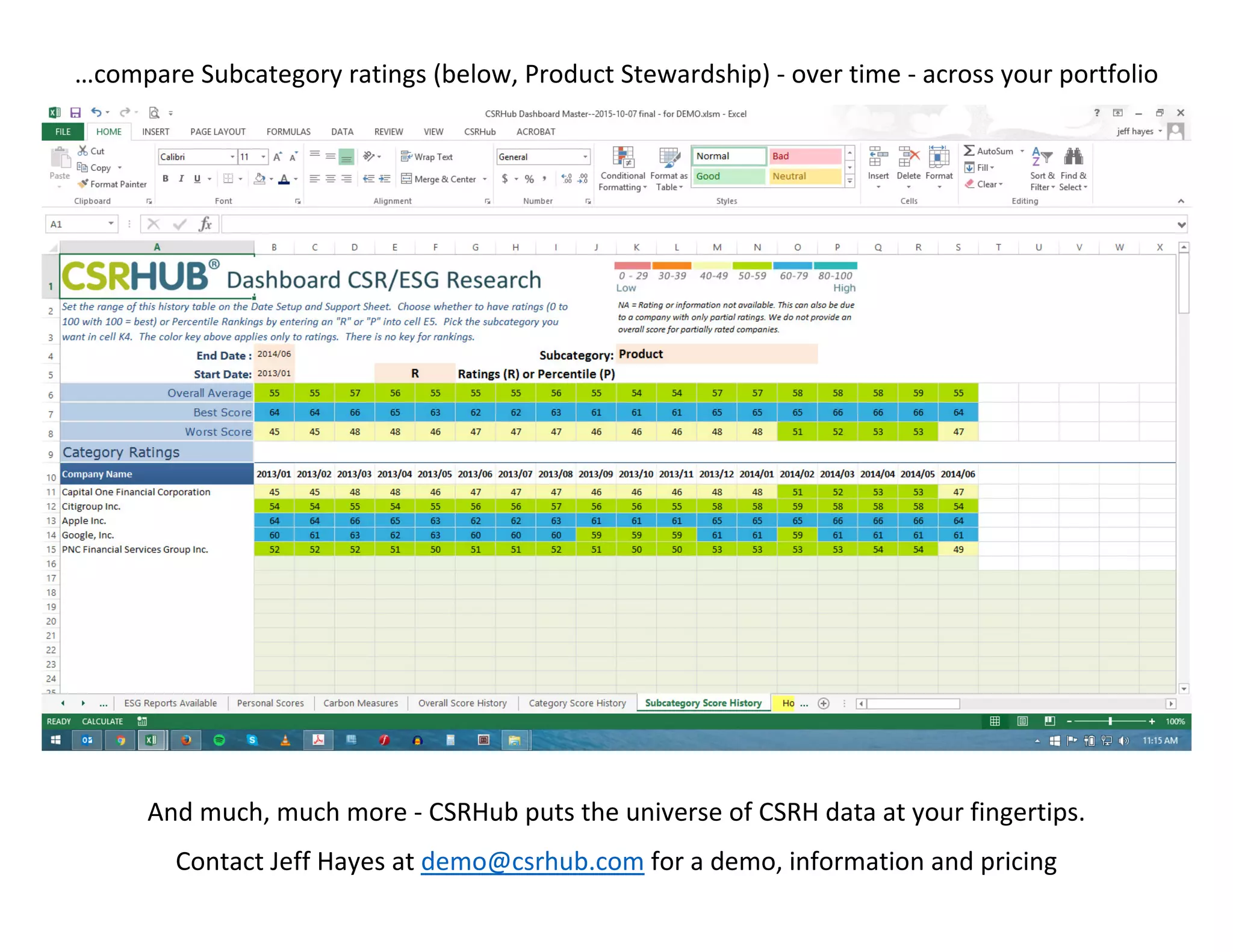 sample output from CSRHub's macro enabled spreadsheet | PDF