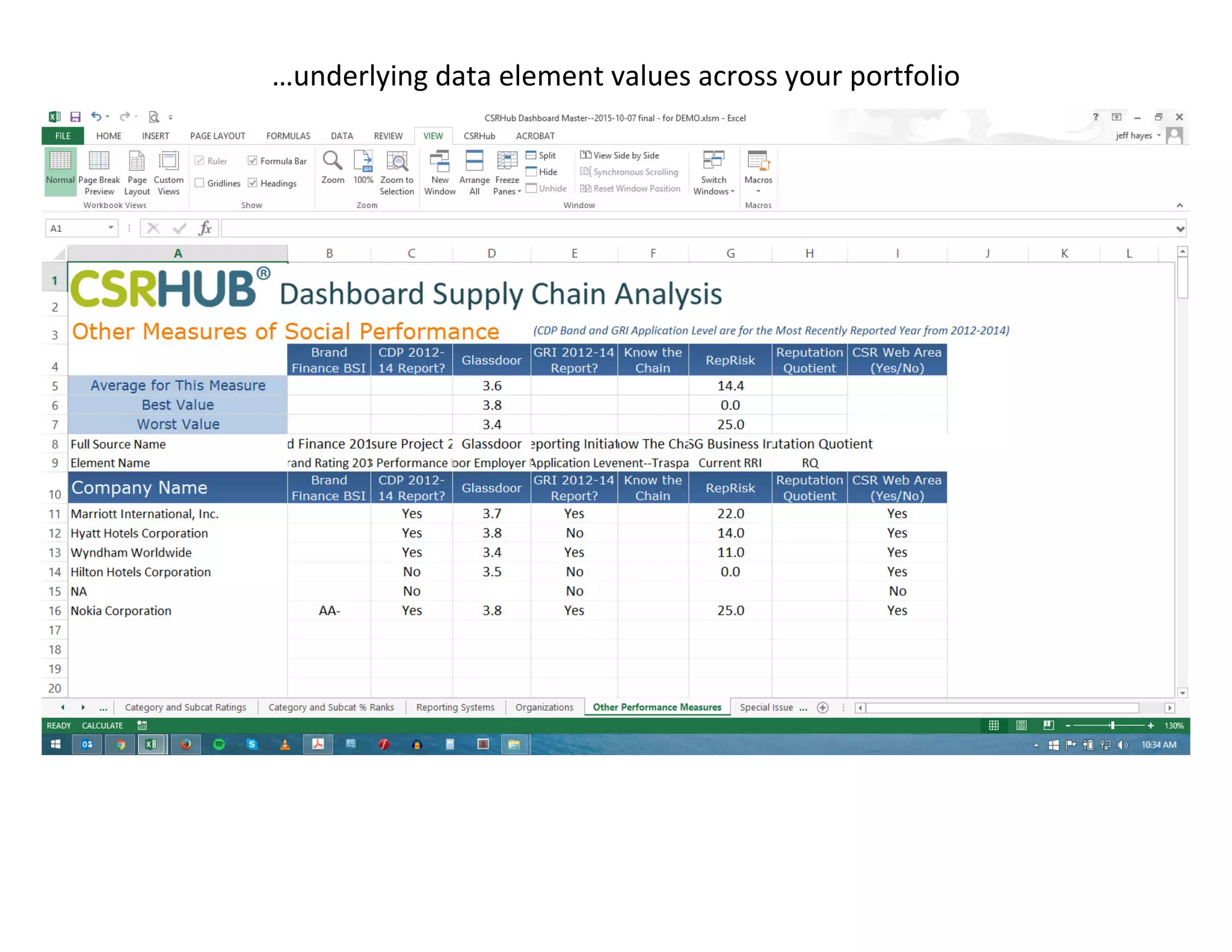 sample output from CSRHub's macro enabled spreadsheet | PDF