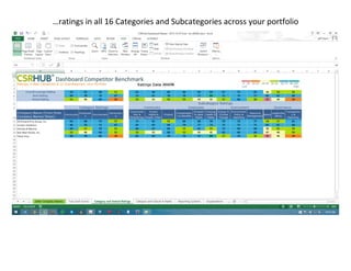 sample output from CSRHub's macro enabled spreadsheet | PDF