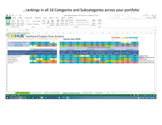 sample output from CSRHub's macro enabled spreadsheet | PDF