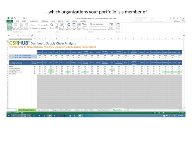 sample output from CSRHub's macro enabled spreadsheet | PDF