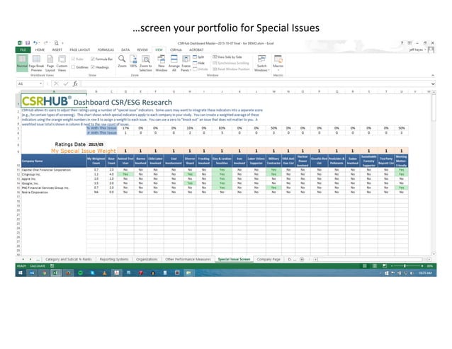 sample output from CSRHub's macro enabled spreadsheet | PDF