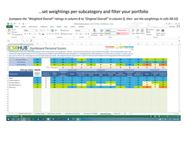 sample output from CSRHub's macro enabled spreadsheet | PDF