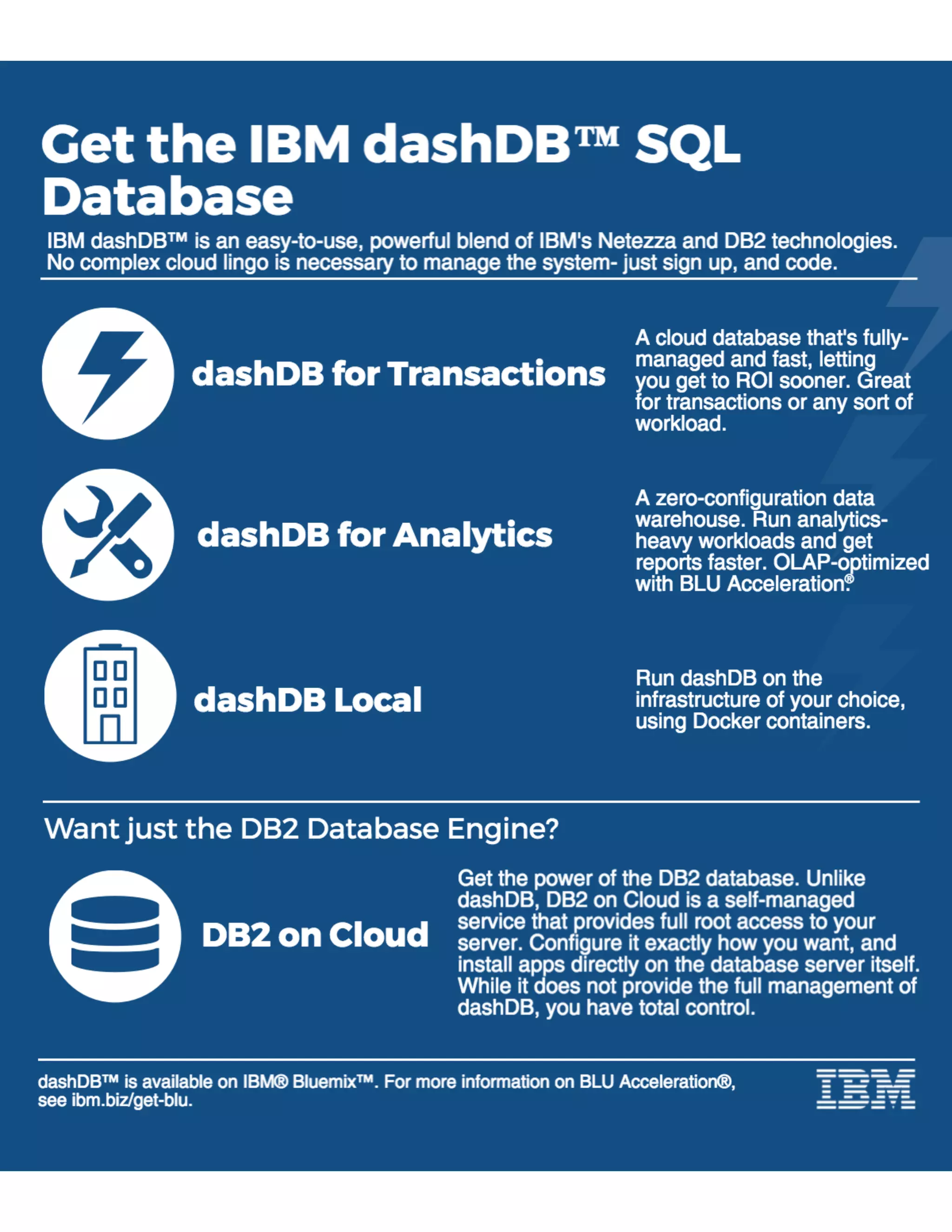 IBM dashDB Family Explained | PDF