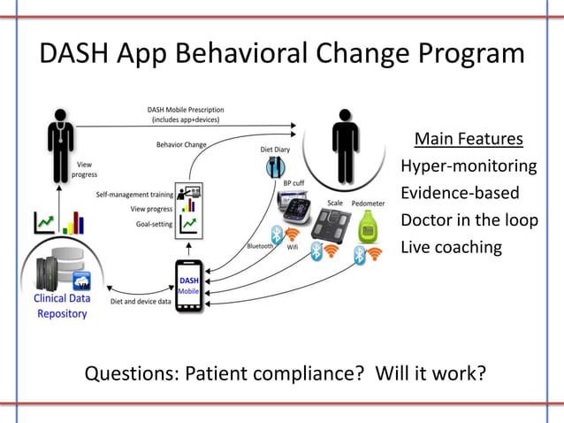 Dash final pres with formatting | PPTX