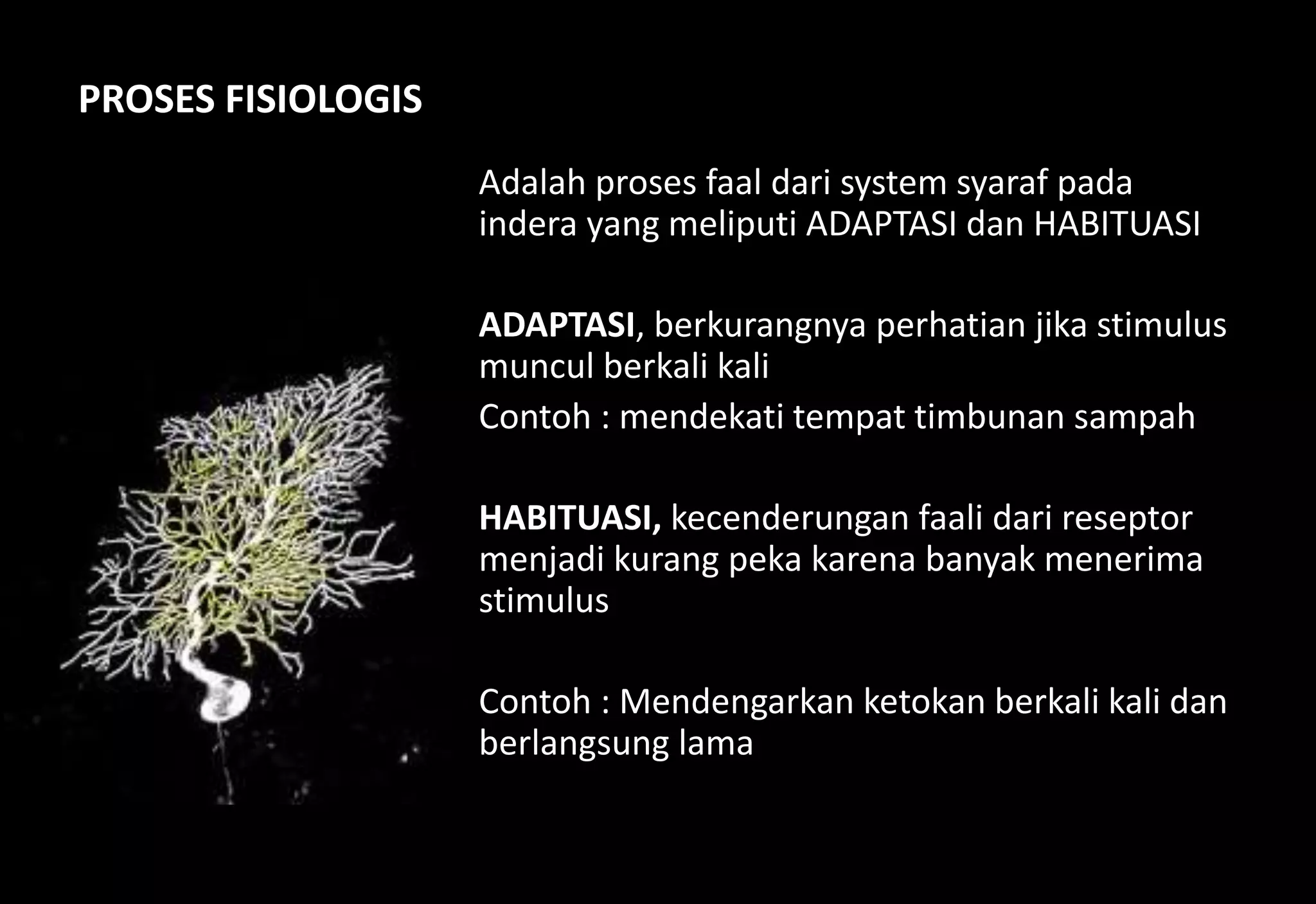 Persepsi Lingkungan Dan Kognisi Lingkungan (Psikologi Lingkungan) oleh ...
