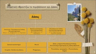 Αναδεικνύοντας τη σημασία των δασικών οικοσυστημάτων και τις συνέπειες ...