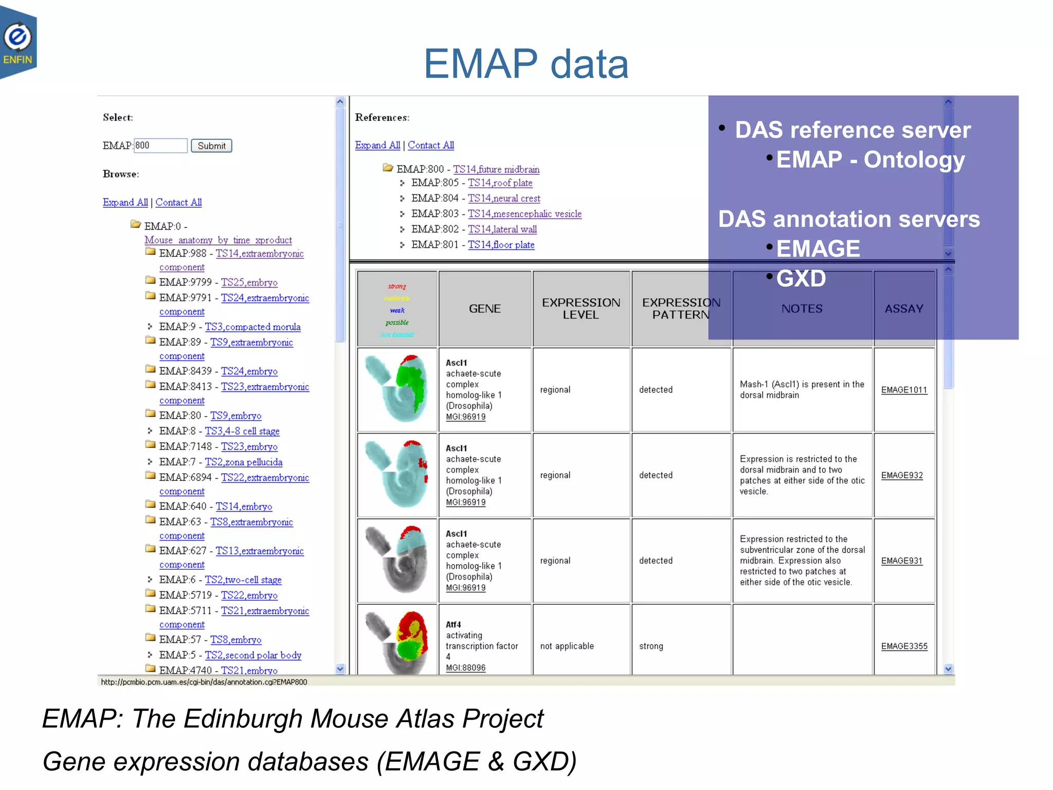 DAS, the Distributed Annotation System | PPT