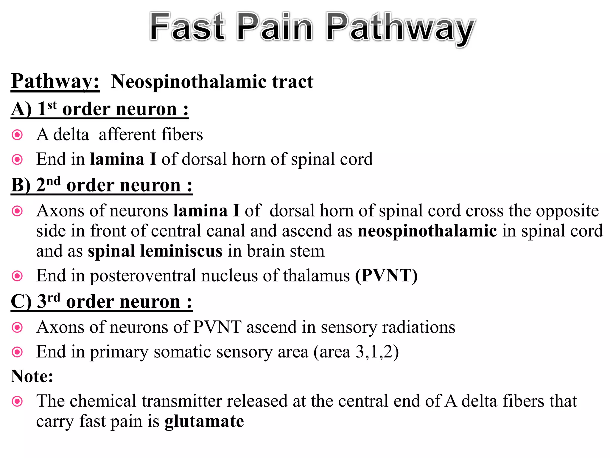 Physiology of pain | PPTX
