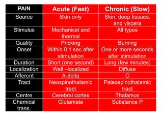 Physiology of pain | PPTX