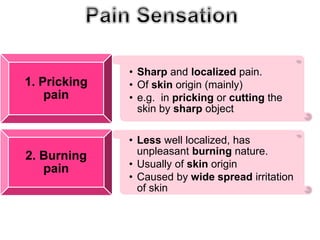 Physiology of pain | PPTX