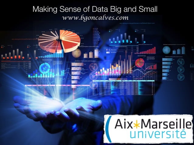 Making Sense of Data Big and Small | PPT