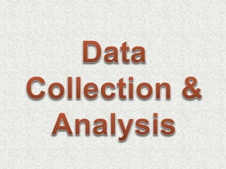 Data Collection & Analysis | PPTX