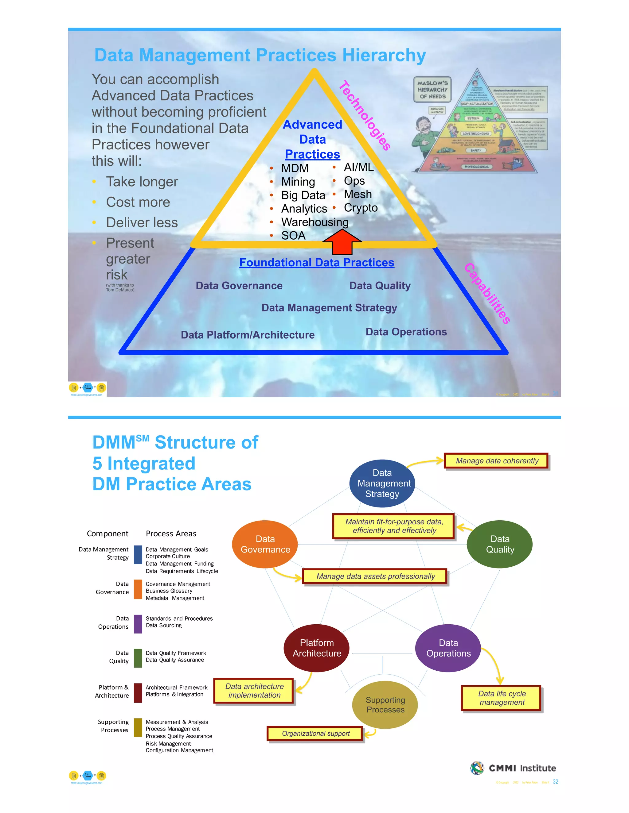 Data Management Best Practices | PDF