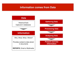 Data, Information and Analyst | PDF