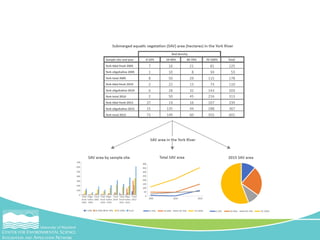 Data-Interpretation-Workshop-Presentation.pdf