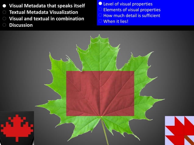 Data metadata visualization | PPT