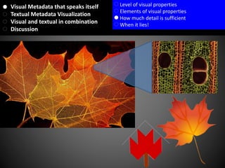 Data metadata visualization | PPT