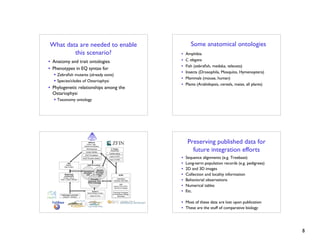 Data Mining GenBank for Phylogenetic inference - T. Vision | PPT