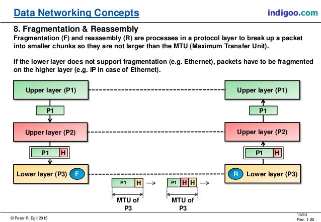 Data Networking Concepts
