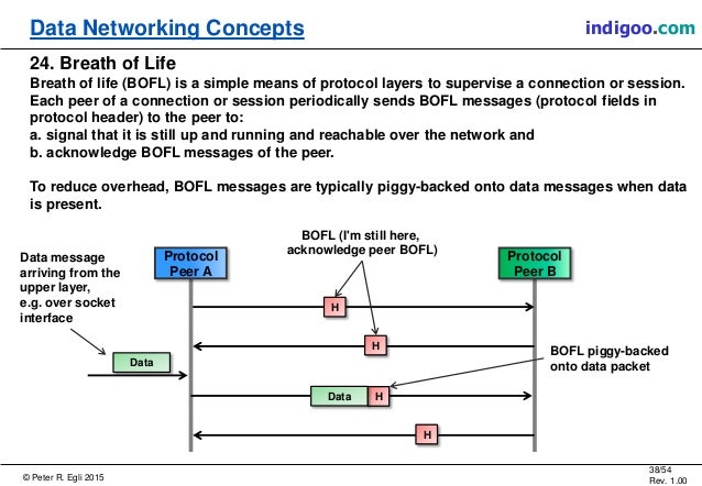 Data Networking Concepts