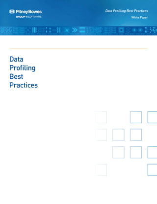 Data profiling-best-practices | PDF