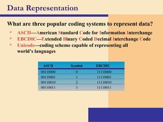 Data-Representation about programming.ppt