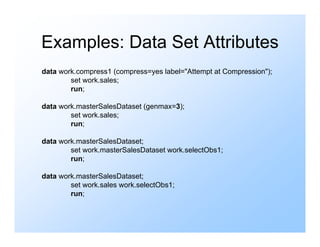 Introduction to SAS Data Set Options | PPT