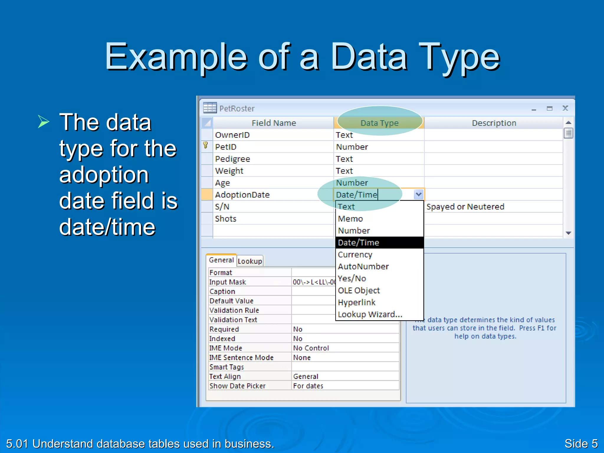 Data Types And Field Properties | PPT