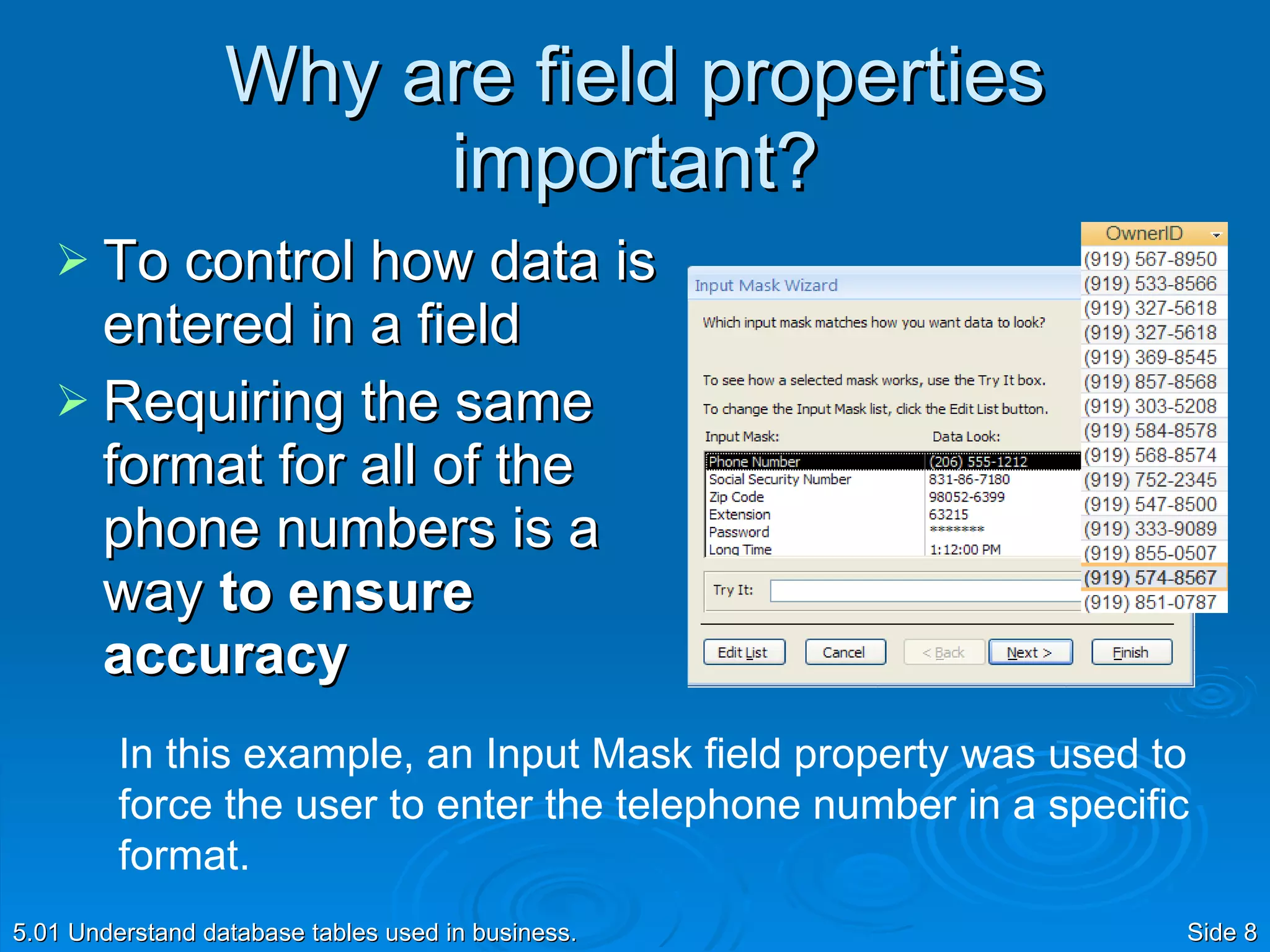 Data Types And Field Properties | PPT