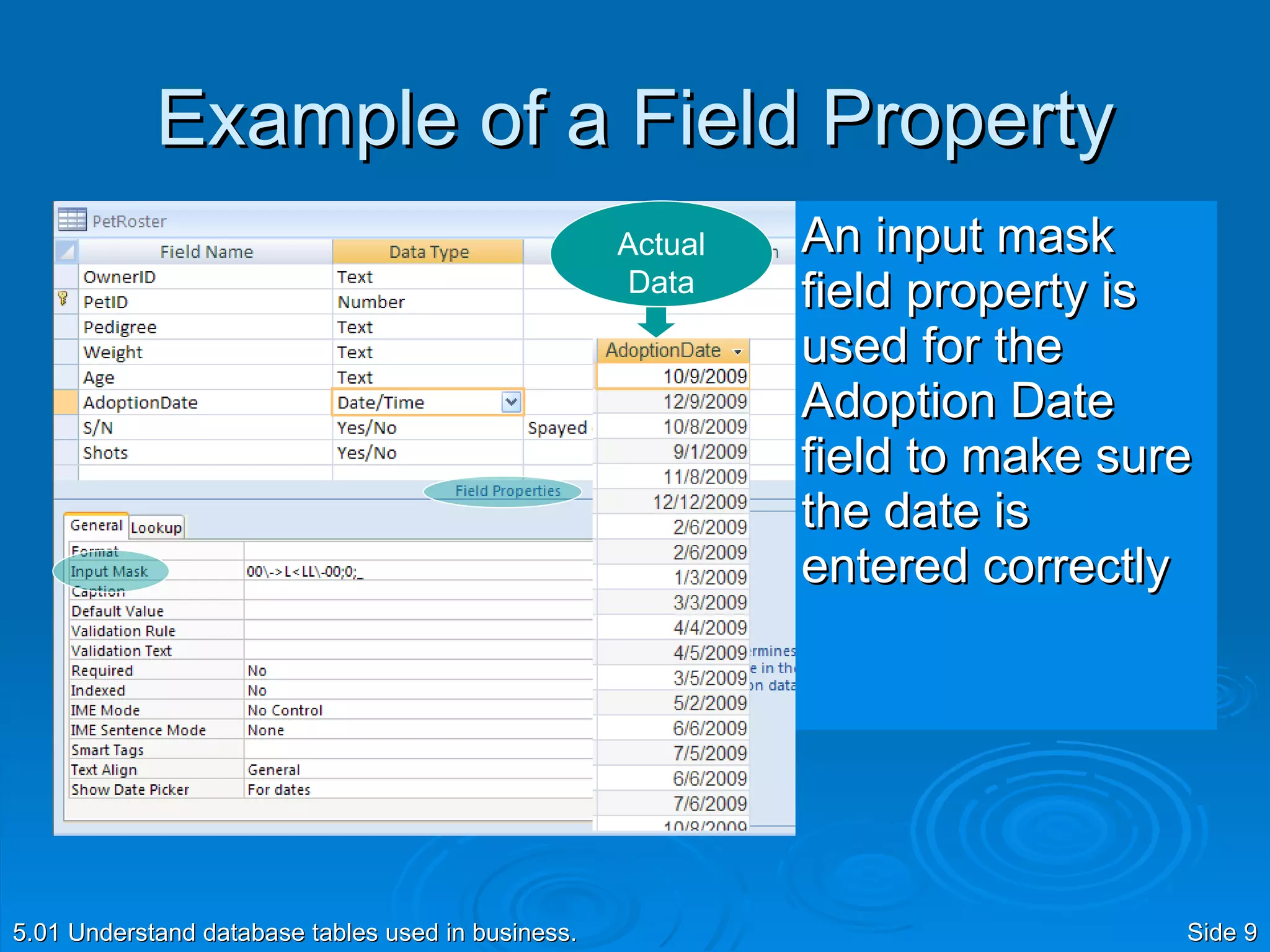 Data Types And Field Properties | PPT