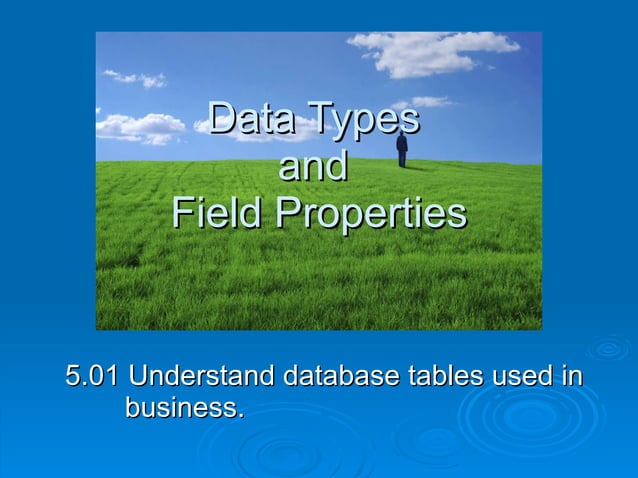 Data Types And Field Properties | PPT