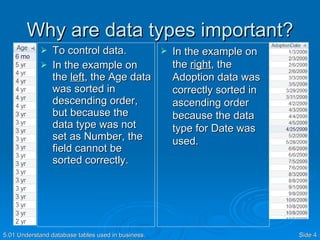 Data Types And Field Properties | PPT
