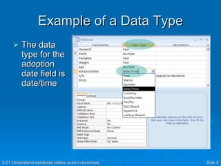 Data Types And Field Properties | PPT