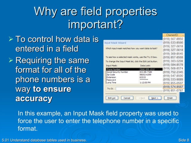 Data Types And Field Properties | PPT