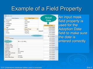 Data Types And Field Properties | PPT