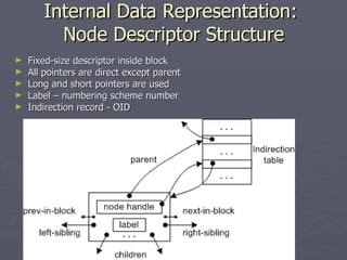 Sedna XML Database System: Internal Representation | PPT