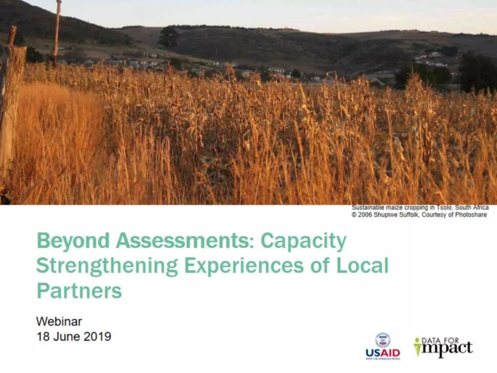 Beyond Assessments: Capacity Strengthening Experiences of Local ...