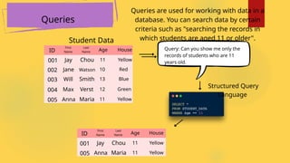 dataabse system working area introduction.pptx