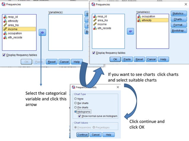 univariate and bivariate analysis in spss | PPTX