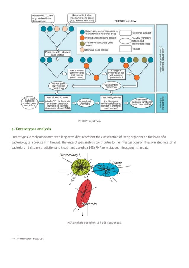 Data Analysis of 16S 18S ITS Amplicon Sequencing Results | PDF